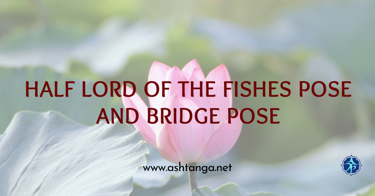 Balancing Half Lord of the Fishes Pose and Bridge – Ashtanga Yoga ...